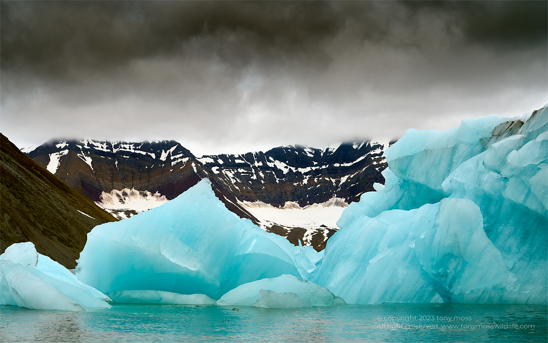 Glacial iceberg in Hornsund, south-west Svalbard - Tony Moss Wildlife ...